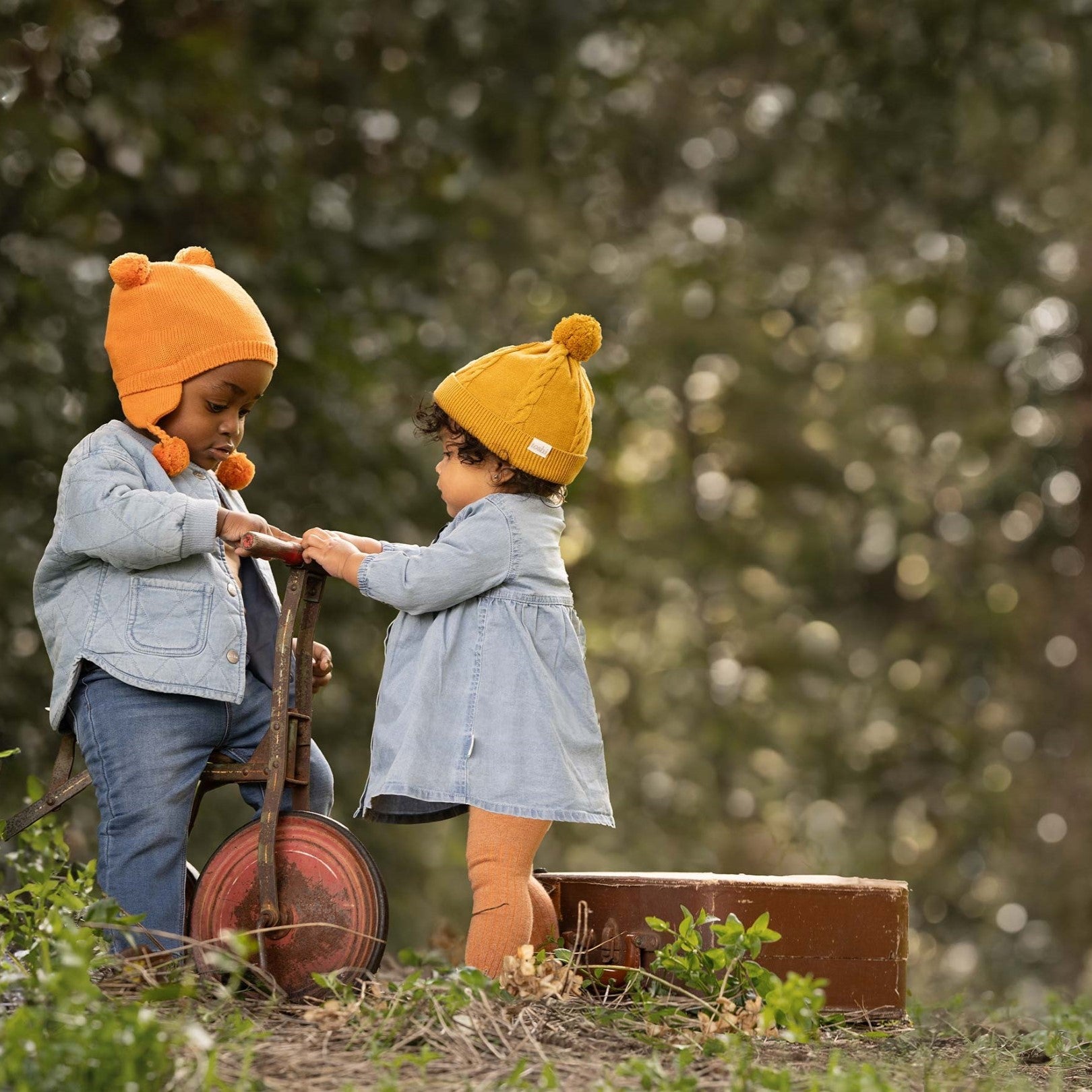 Toshi – Daisy and Hen