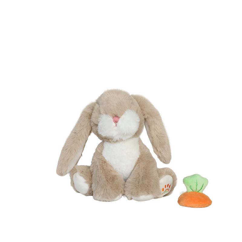 Binky Bunny - Hop – Daisy and Hen