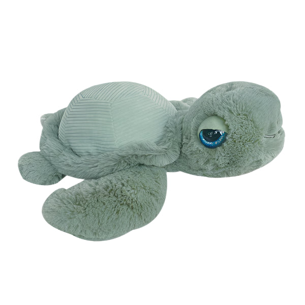 Tyler Turtle – Daisy and Hen