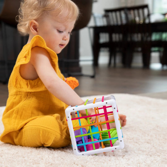 Fat Brain – Daisy and Hen