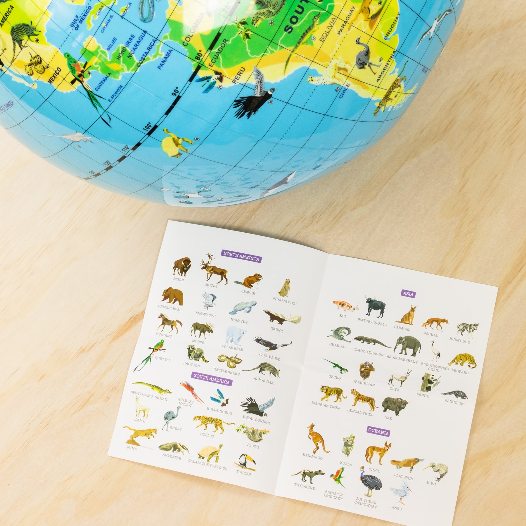 World Globe - Animal Planet - 42cm – Daisy and Hen